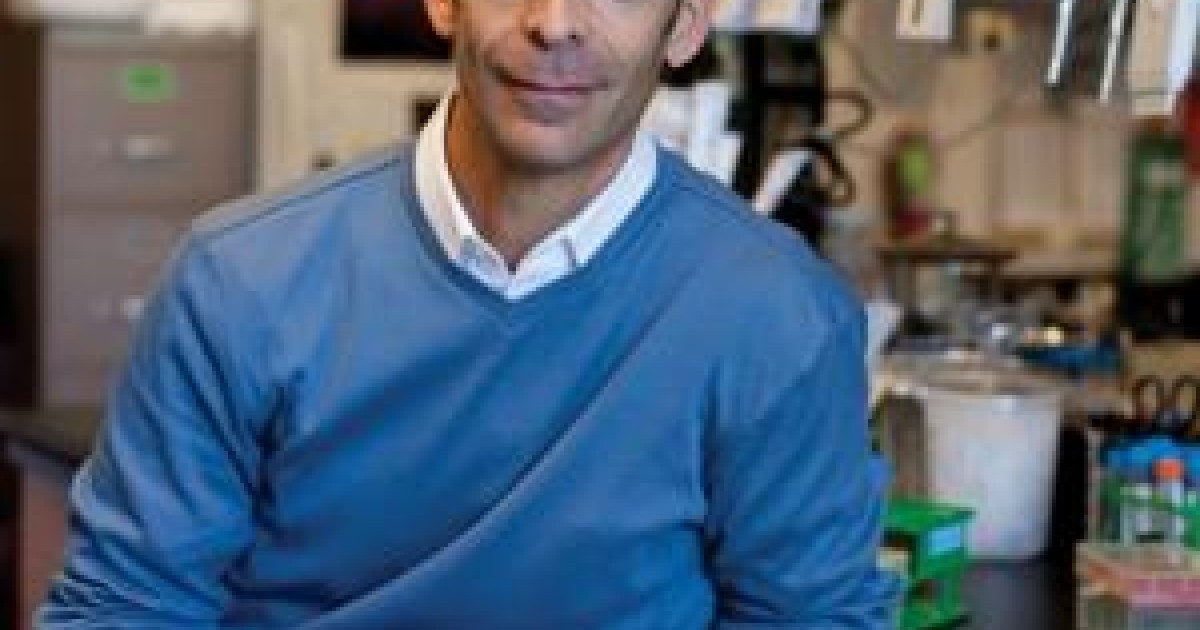 Joe Thornton, PhD, receives Friend of Darwin Award for contributions to ...